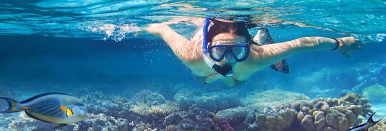 Les niveaux exigés pour faire de la plongée en Martinique
